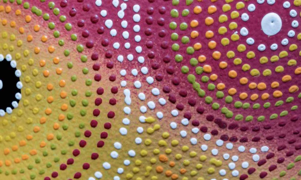 Creative Australia Bill voted by Parliament – Creative Industries News